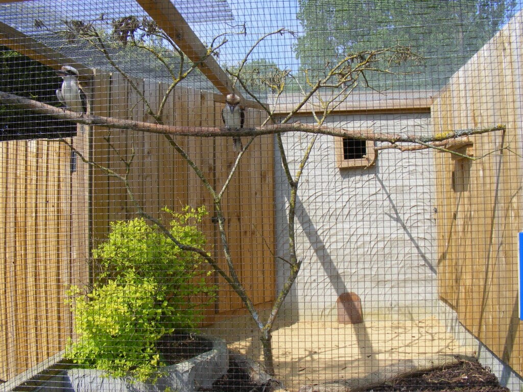 Bird Cage Screen Enclosures: Why They're Perfect for Homes - 2H Rescreening