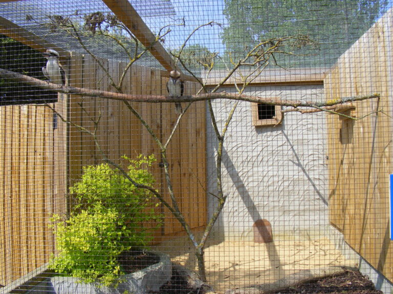 Bird Cage Screen Enclosures: Why They're Perfect for Homes - 2H Rescreening